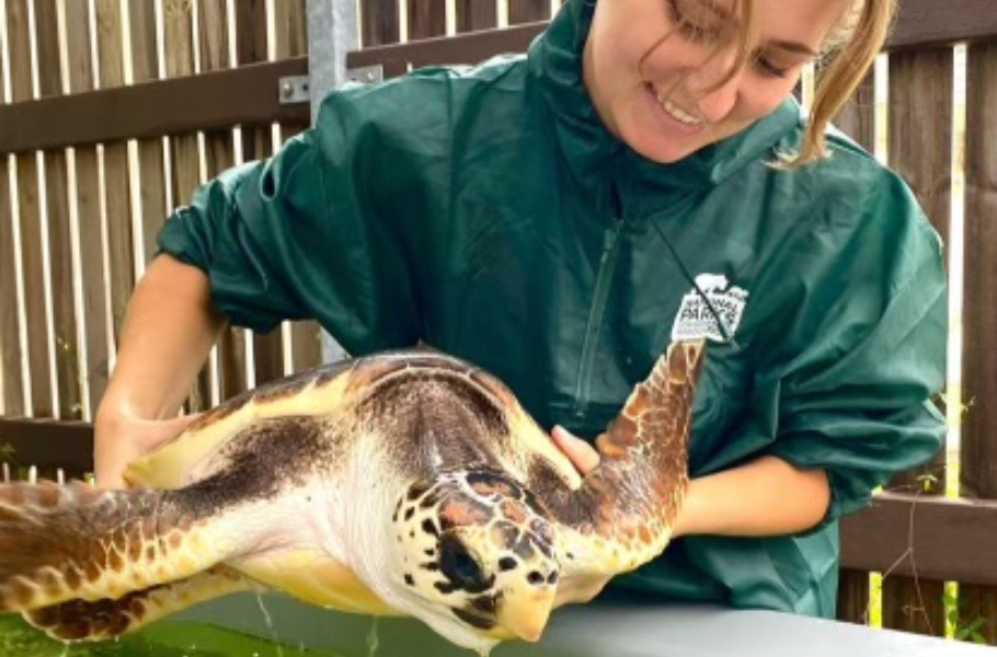 ILoveQatar.net | Meet Matilde Brisinello, young marine biologist in ...