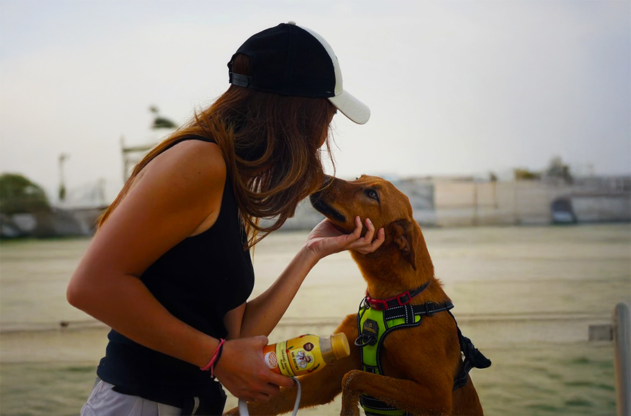 ILoveQatar.net | Animal shelters & rescue groups in Qatar
