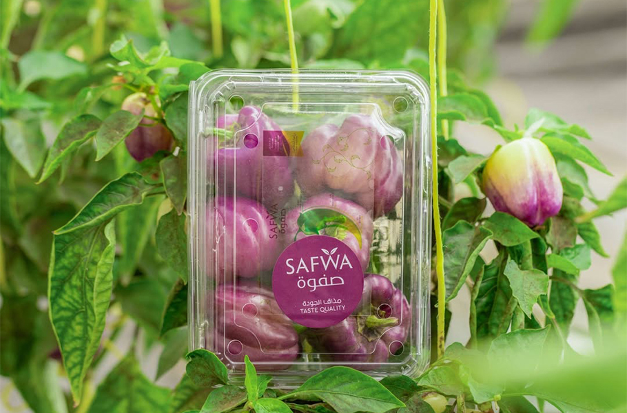 ILoveQatar.net | Organic vegetable farms and markets in Qatar