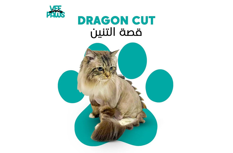ILoveQatar.net | Pet grooming places in Qatar