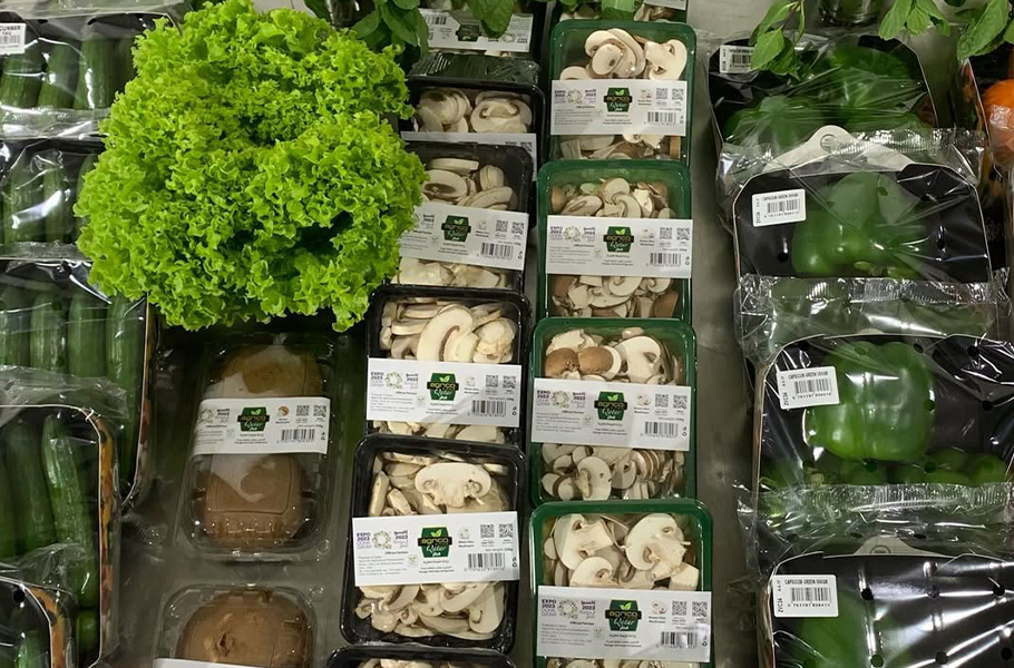 ILoveQatar.net | Organic vegetable farms and markets in Qatar