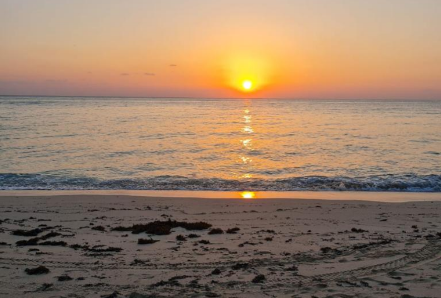 ILoveQatar.net | Best free beaches to check out in Qatar