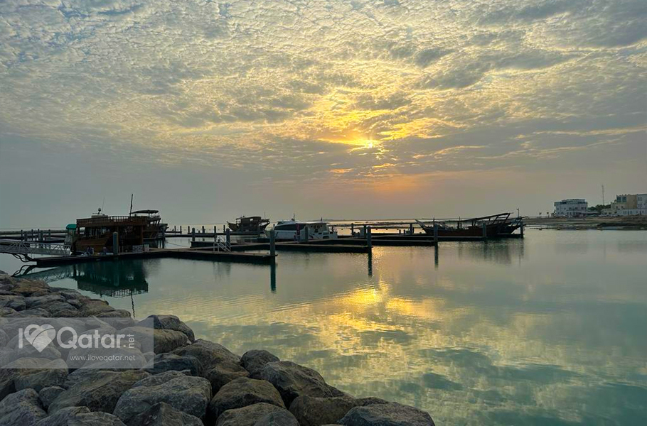 ILoveQatar.net | All you need to know about the Whale Sharks of Qatar ...