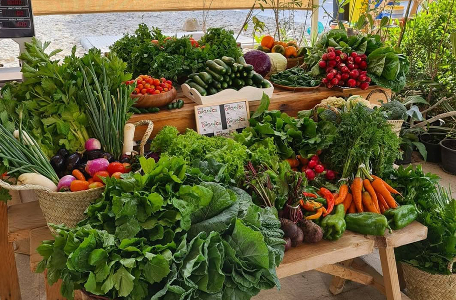 ILoveQatar.net | Organic vegetable farms and markets in Qatar