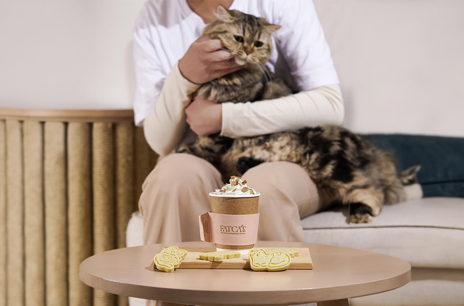 ILoveQatar.net | Cat cafés to visit in Qatar