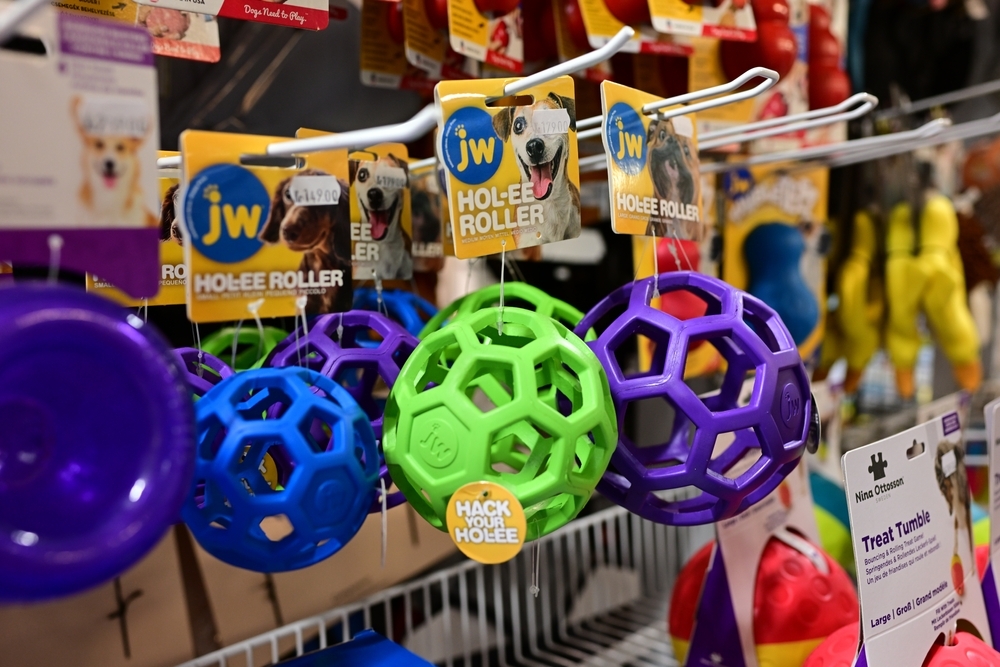 ILoveQatar.net | Where to shop for your furry friends in Qatar
