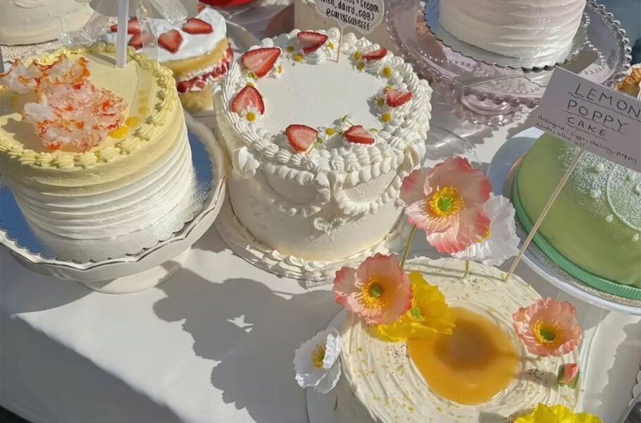 ILoveQatar.net | Doha Cake Picnic