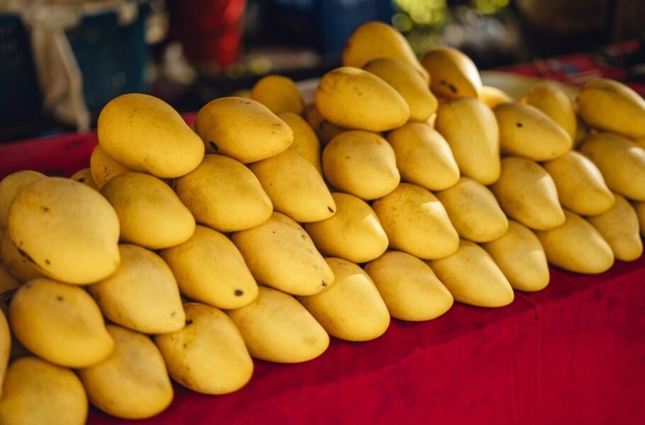 ILoveQatar.net | Indian Mango Exhibition 2026