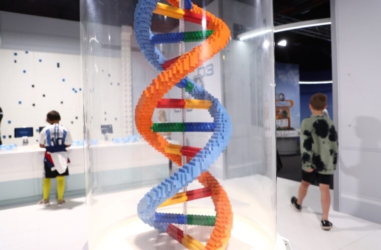 ILoveQatar.net | Lego DNA Workshop at Msheireb Museums