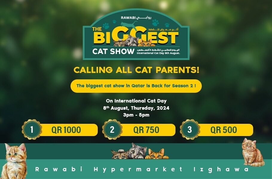 ILoveQatar.net | Cat show in Qatar