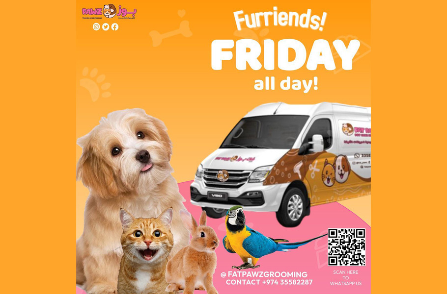 ILoveQatar.net | Pet grooming places in Qatar