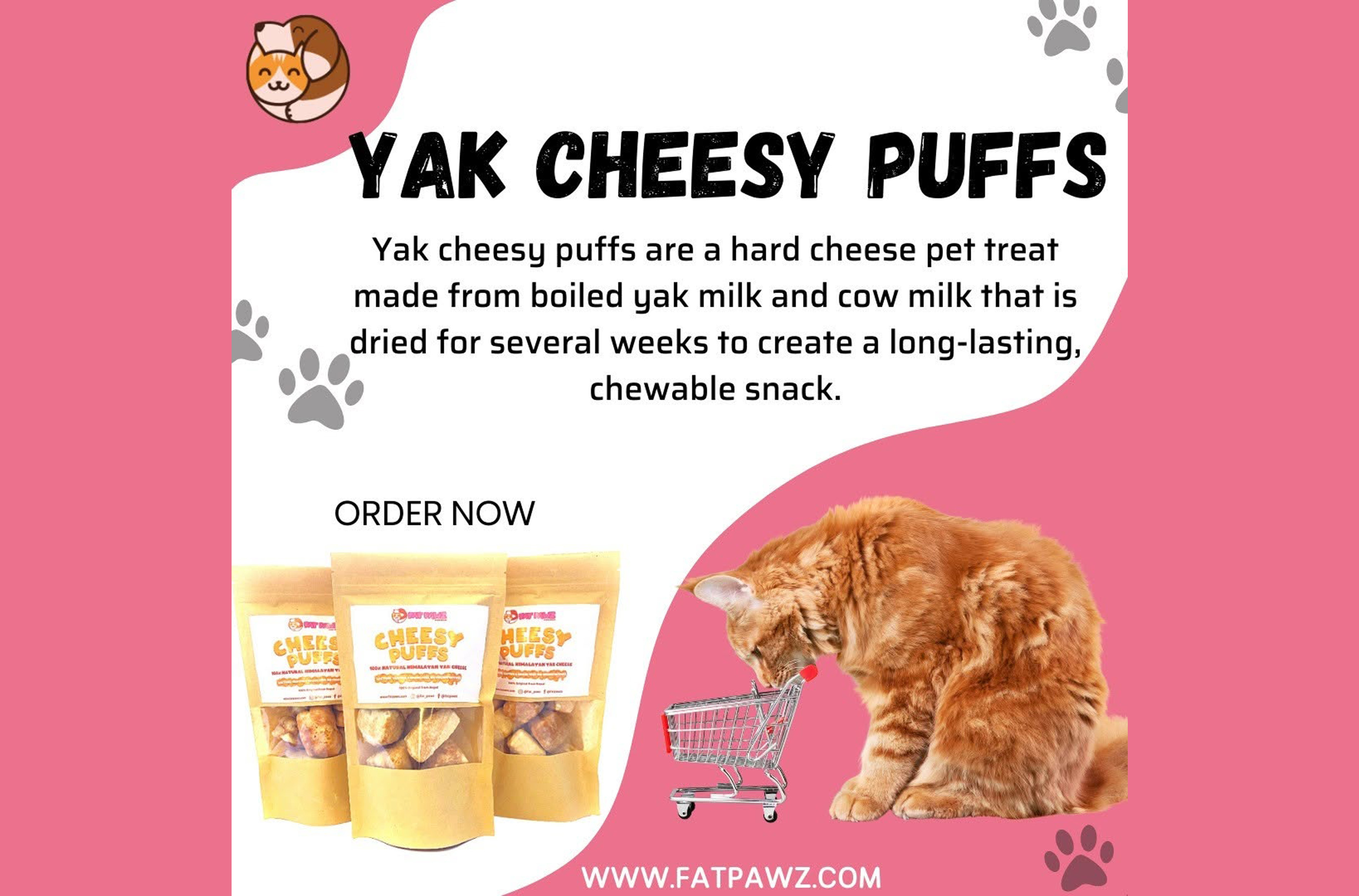 ILoveQatar.net | Where to shop for your furry friends in Qatar