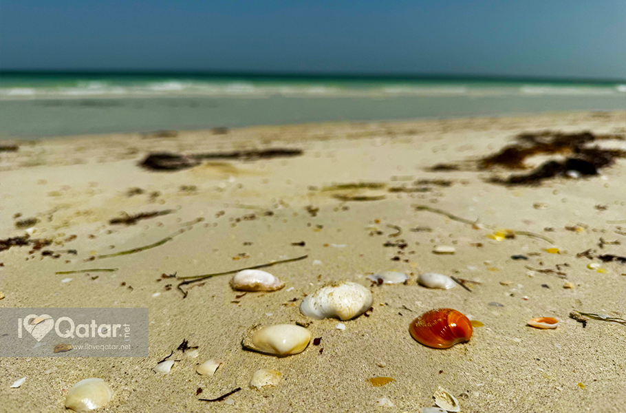 ILoveQatar.net | Explore Fuwairit Beach, one of Qatar's best public beaches