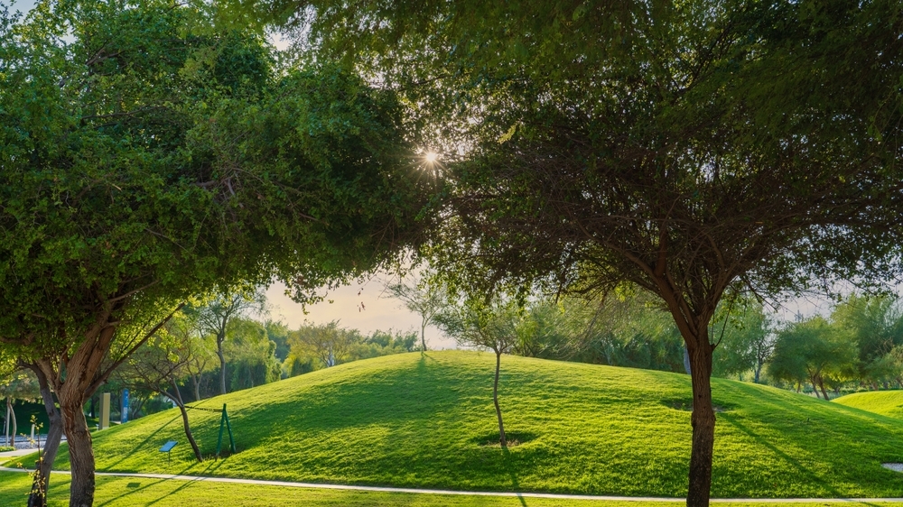 ILoveQatar.net | Outdoor places in Qatar to enjoy the greenery