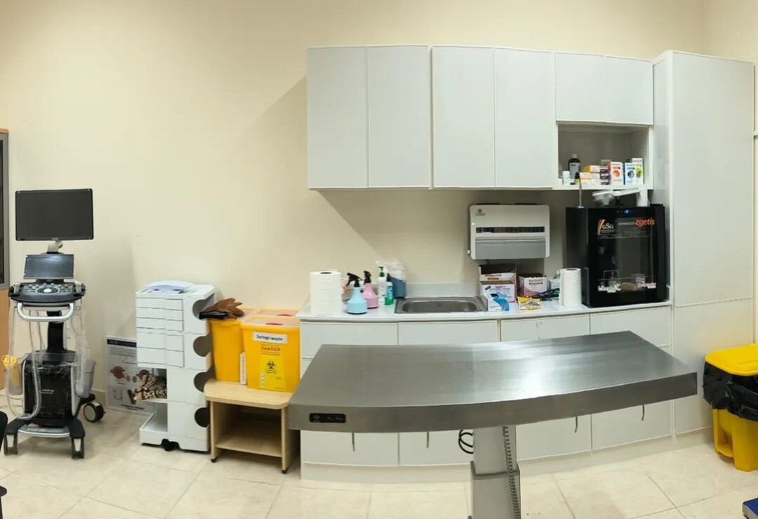 ILoveQatar.net | Veterinary clinics & services in Qatar