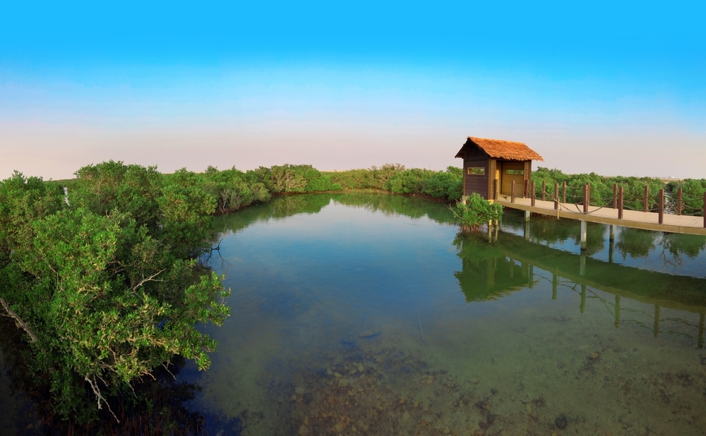 ILoveQatar.net | Outdoor places in Qatar to enjoy the greenery