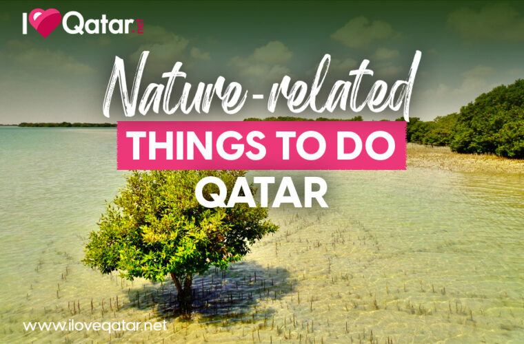 ILoveQatar.net | Nature-related things you can do in Qatar
