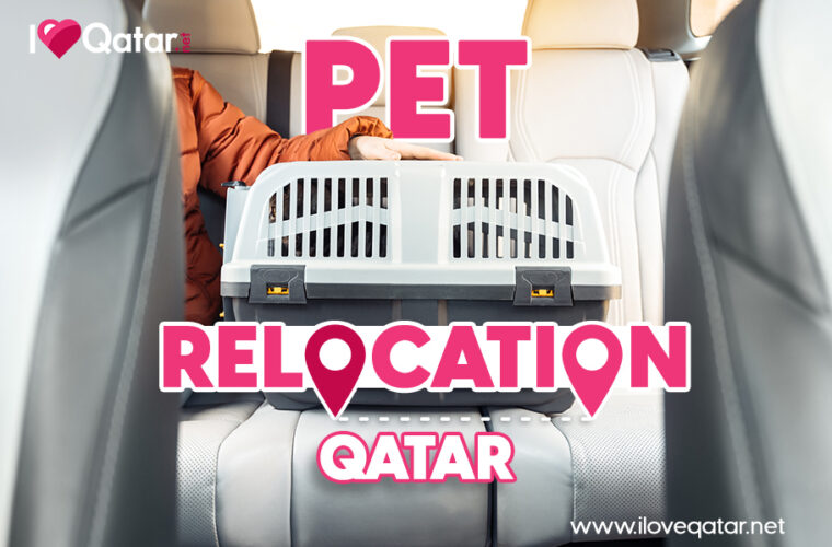 ILoveQatar.net | How to relocate your pets out of Qatar
