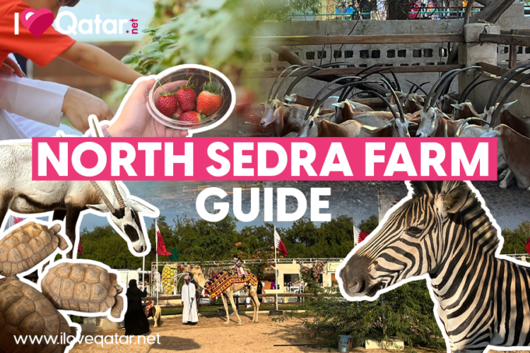 ILoveQatar.net | Places to visit in Qatar