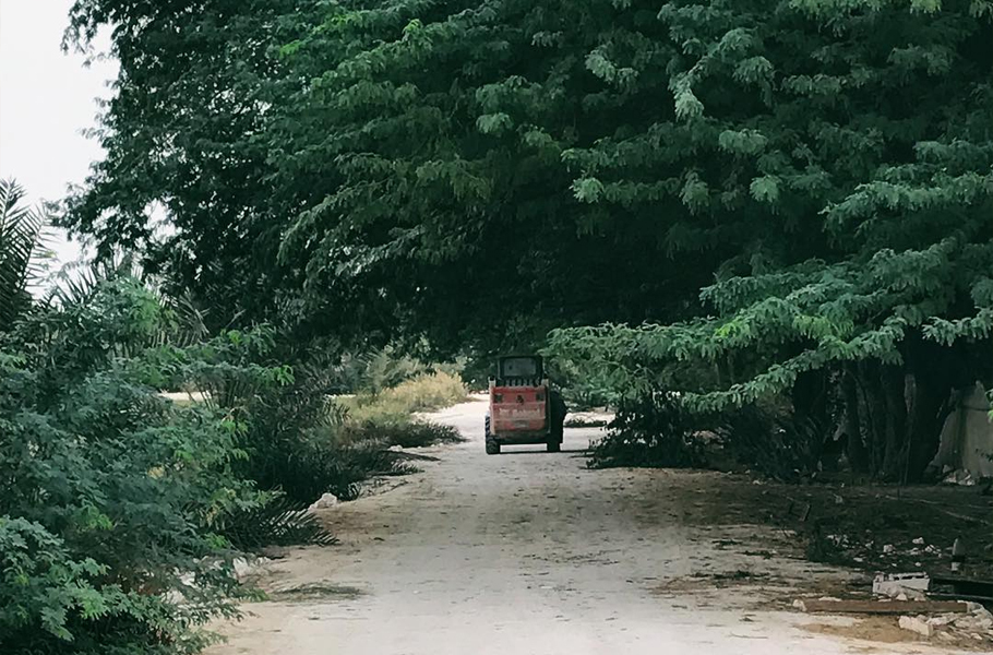 ILoveQatar.net | Farms and nature reserves to visit in Qatar