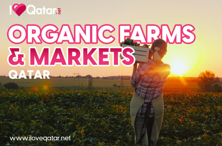 ILoveQatar.net | Organic vegetable farms and markets in Qatar