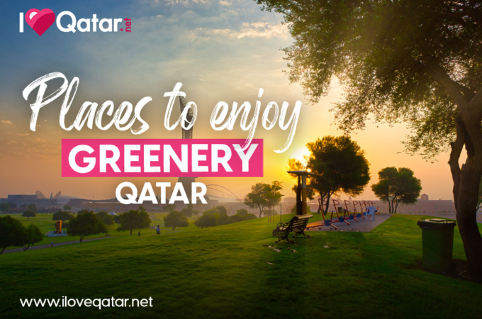 ILoveQatar.net | Complete guide to living in Qatar