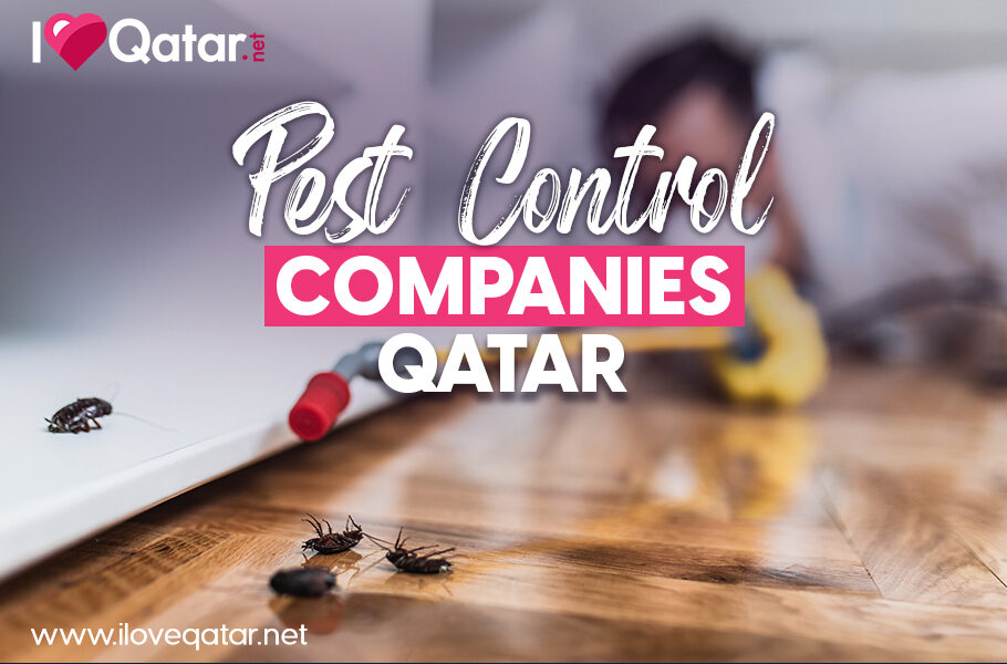 ILoveQatar.net | Companies offering pest control services in Qatar