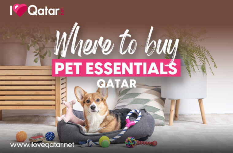 ILoveQatar.net | Where to shop for your furry friends in Qatar