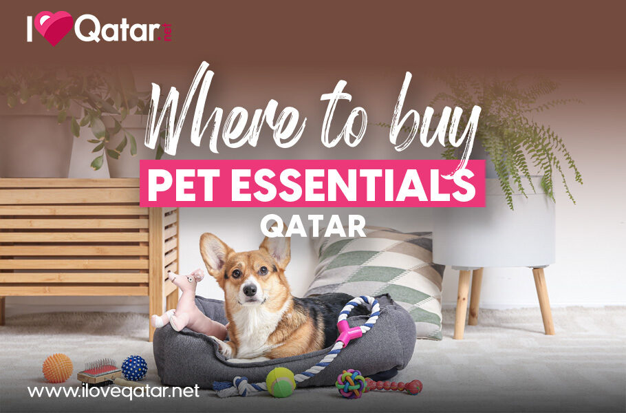 ILoveQatar.net | Where to shop for your furry friends in Qatar