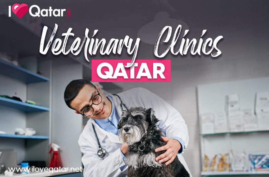 ILoveQatar.net | Veterinary clinics & services in Qatar