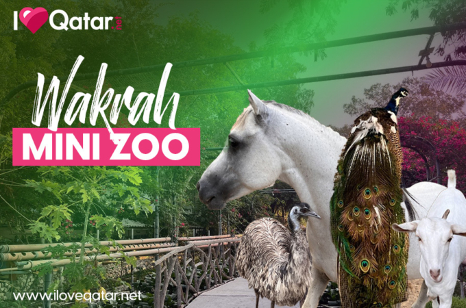 ILoveQatar.net | Places to visit in Qatar