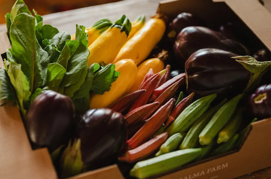 ILoveQatar.net | Organic vegetable farms and markets in Qatar