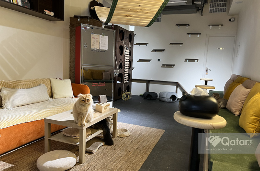 ILoveQatar.net | Dining spots with unique experiences & activities