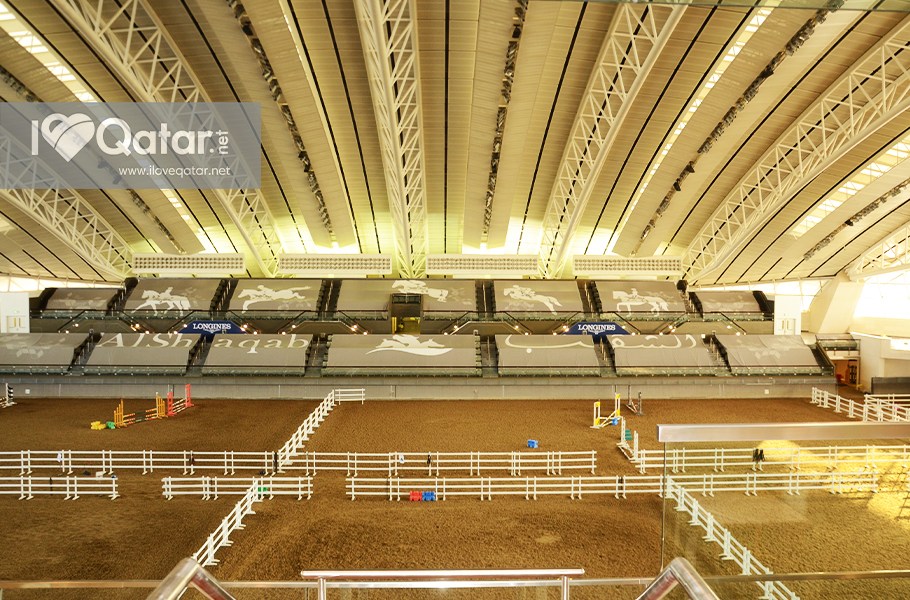 ILoveQatar.net | All about the Al Shaqab tour: meet and connect with ...