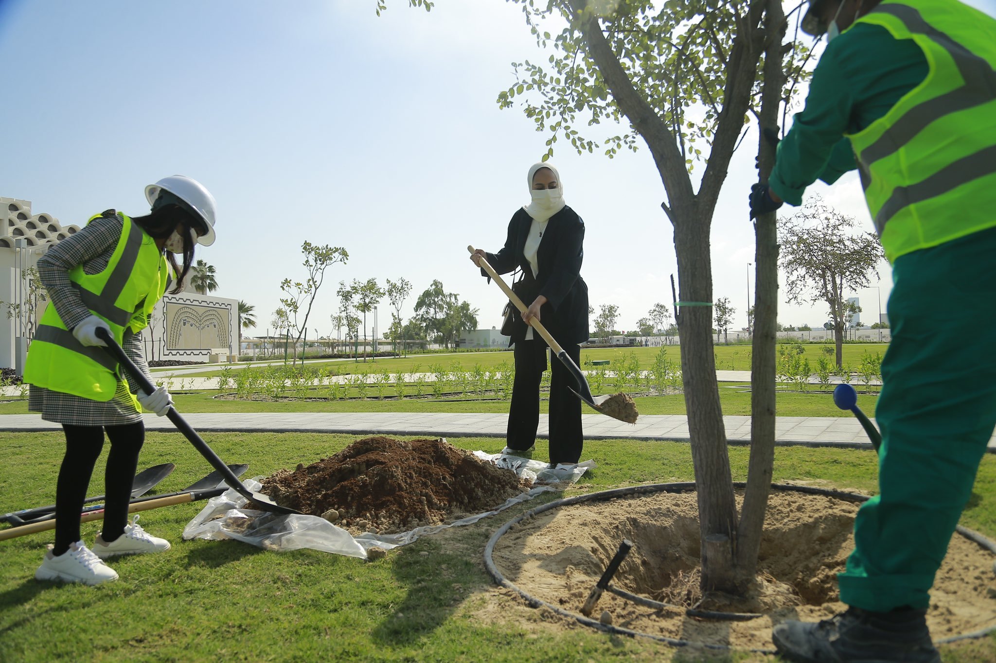 ILoveQatar.net | More than 300,000 trees planted as part of “Plant ...