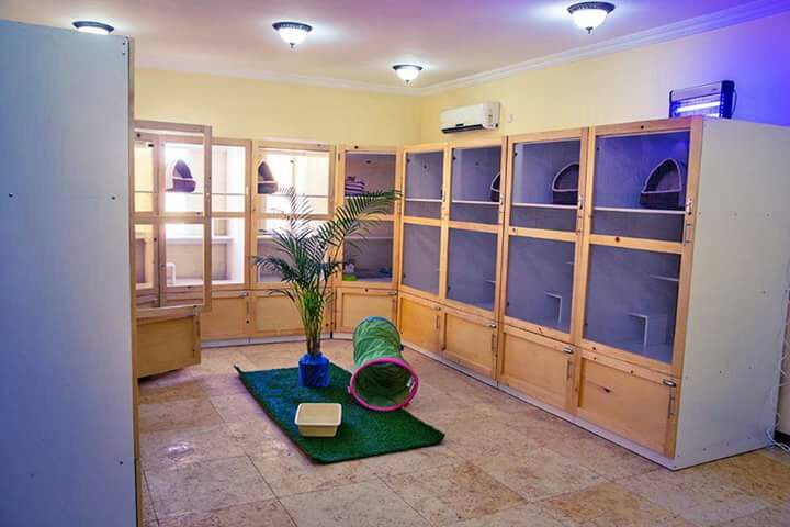 ILoveQatar.net | Paws Rescue Qatar: Standing up for the animals!