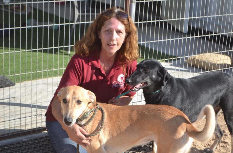 ILoveQatar.net | Feel good things to do in Qatar