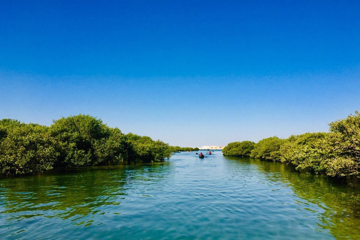 ILoveQatar.net | Top 5 nature-related things to do in Qatar
