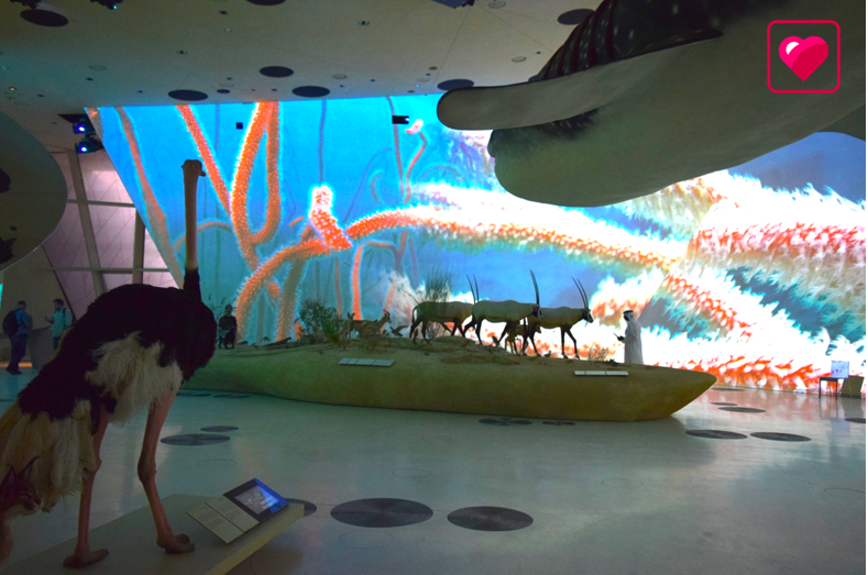 ILoveQatar.net | PHOTOS: See how the National Museum of Qatar looks ...