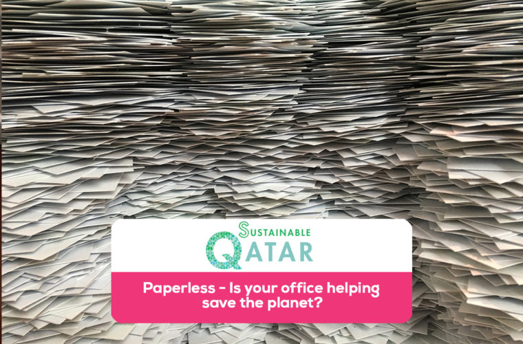 ILoveQatar.net | Paperless - Is your office helping save the planet?
