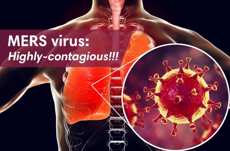 ILoveQatar.net | All you need to know about the deadly MERS virus in Qatar