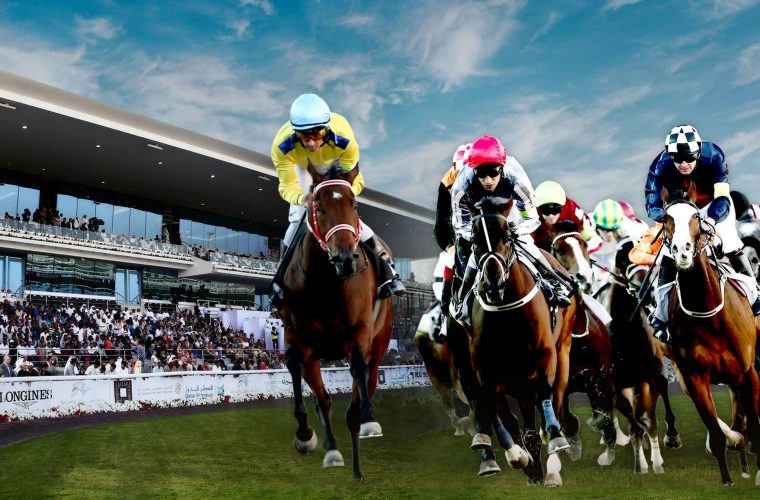 ILoveQatar.net | Local horse racing season 2019/2020 to begin tomorrow ...