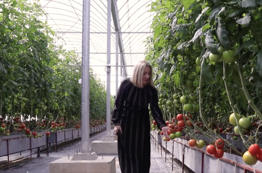 ILoveQatar.net | 800 Qatari Farms Benefited from Cool and Regular ...