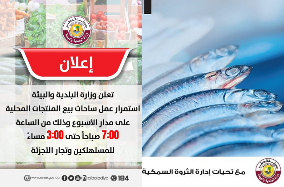 ILoveQatar.net | Baladiya: Local vegetable markets now open daily; fish ...