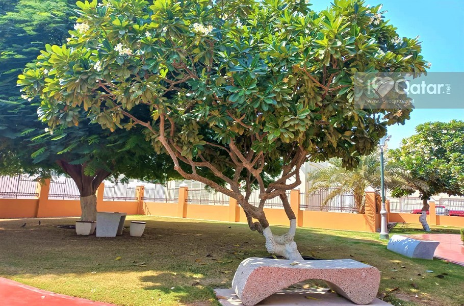 ILoveQatar.net | Things to see at Al Mamoura Family Park