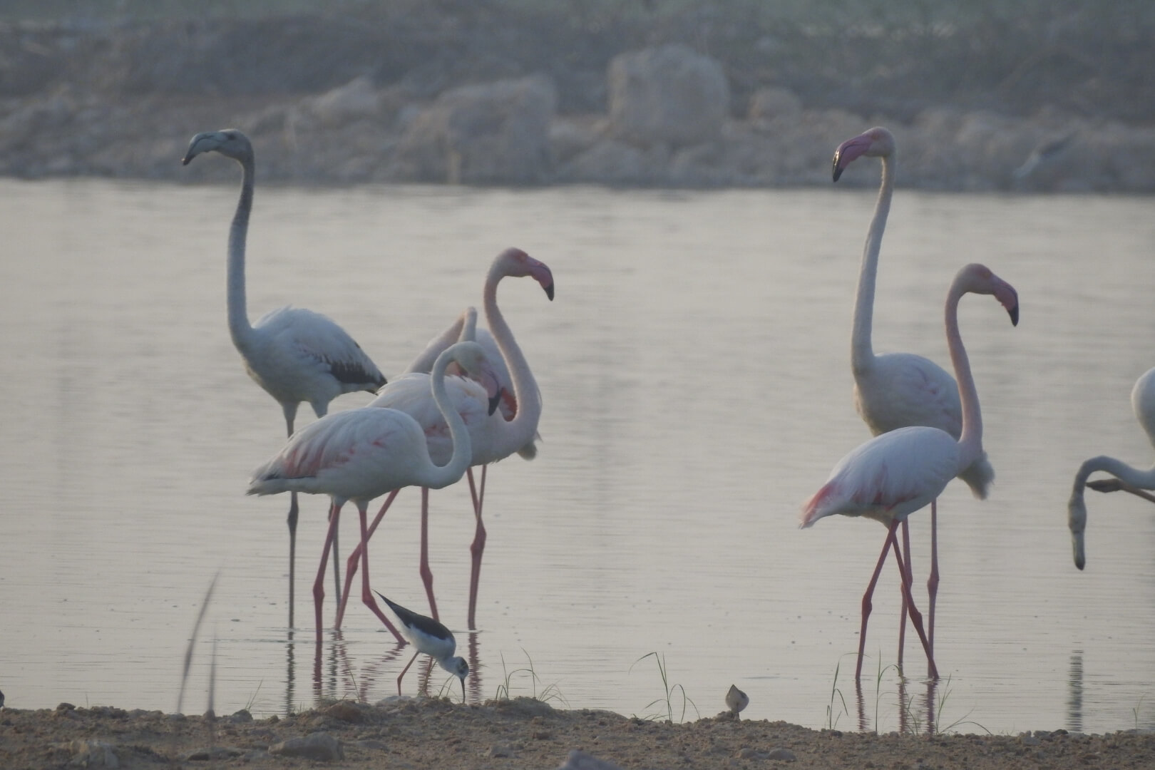 ILoveQatar.net | Qommunity Voices: Discover the great outdoors with ...