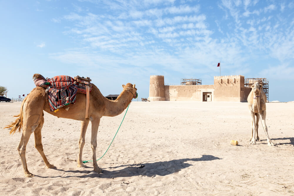 ILoveQatar.net | Places in Qatar where you can hike