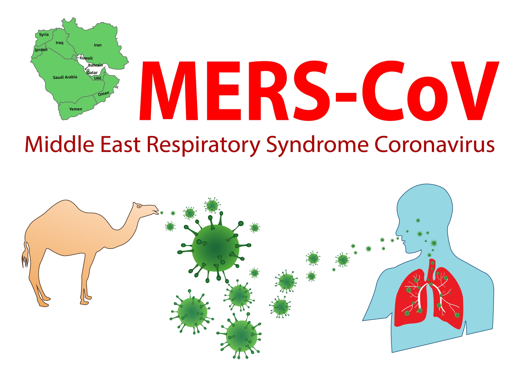 ILoveQatar.net | All you need to know about the deadly MERS virus in Qatar