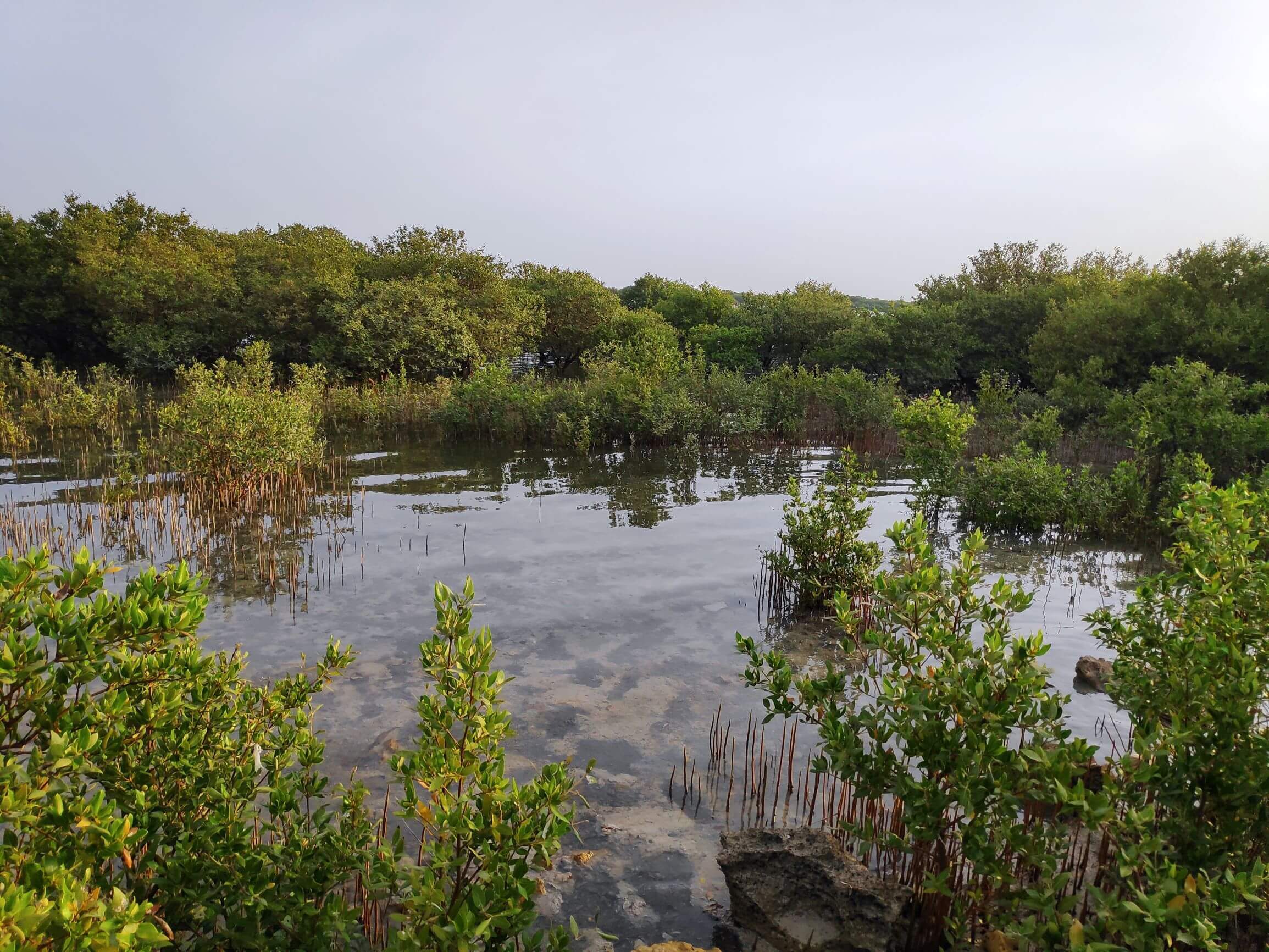 ILoveQatar.net | Qommunity Voices: Discover the great outdoors with ...