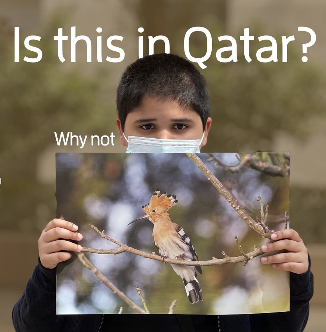 ILoveQatar.net | Qatar Environment Day 2021 activities